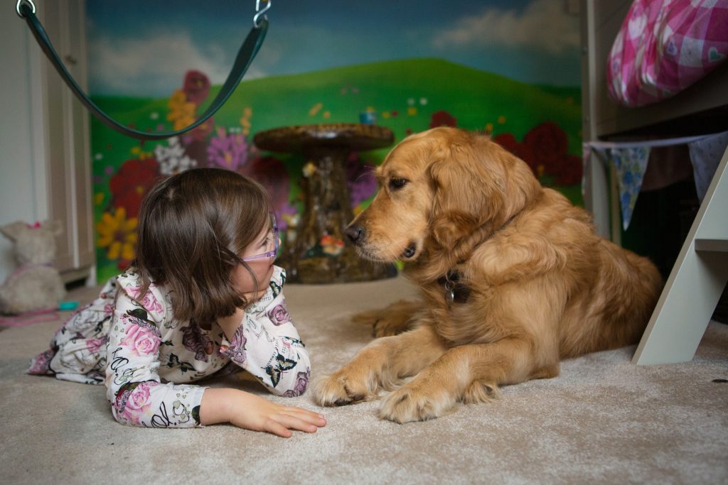 DOGS FOR GOOD IS ENCOURAGING PEOPLE TO GET WALKING AND TALKING - Leeds ...